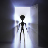 "Alien Smuggling: Do Not Be An Alien To The Law!" Florida Defender ...