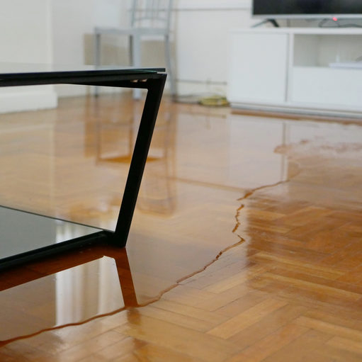 National Subrogation Professionals Day 2023 - Butler Weihmuller Katz ...